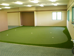 Basement Putting Greens, Practice & Indoor Golf Greens | Southwest ...